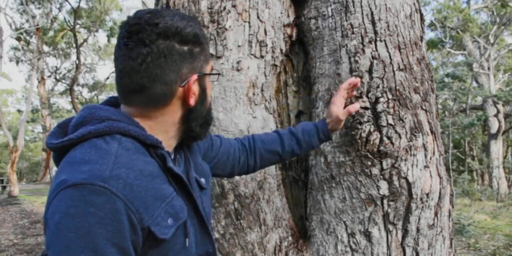 Caring for Jaara Country – Jane Curtis – Podcast and documentary producer